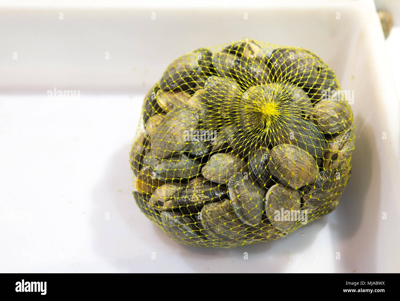 Clams cutout hi-res stock photography and images - Alamy