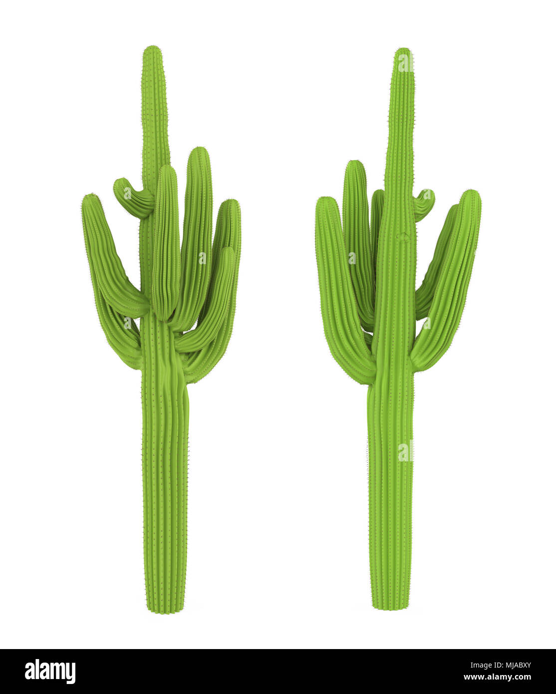 Saguaro cactus garden Cut Out Stock Images & Pictures - Alamy