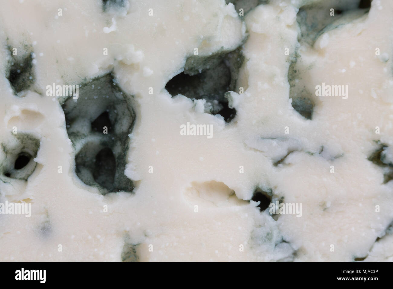 extreme closeup view of blue cheese, background texture Stock Photo - Alamy