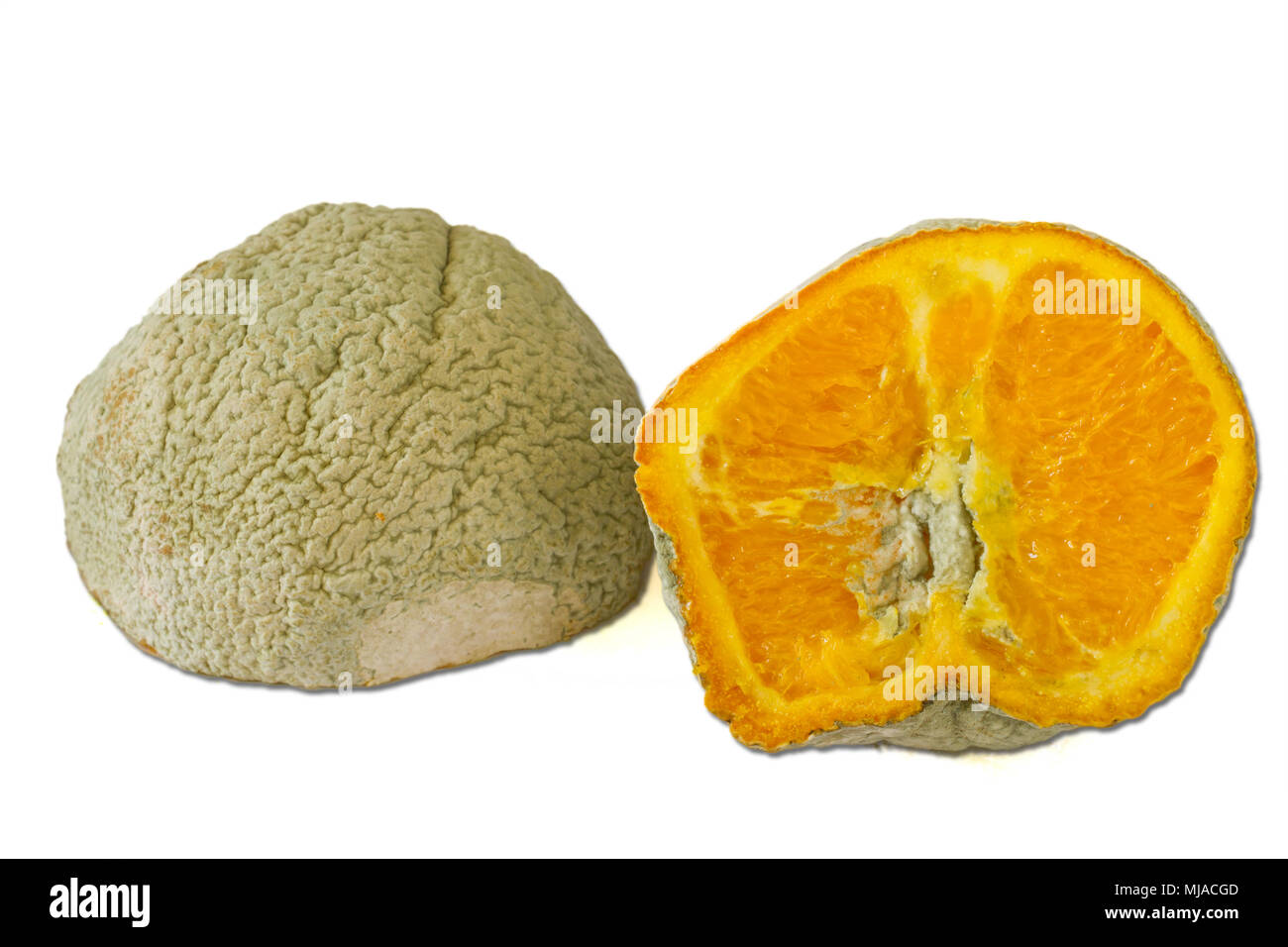 Half rotten orange Cut Out Stock Images & Pictures - Alamy