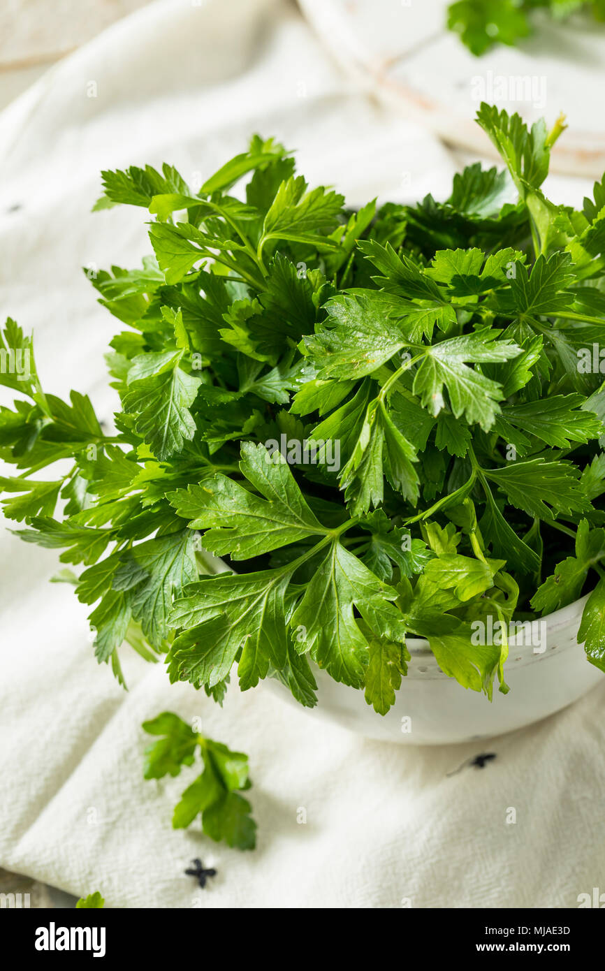 Flat leaf parsley hi-res stock photography and images - Alamy
