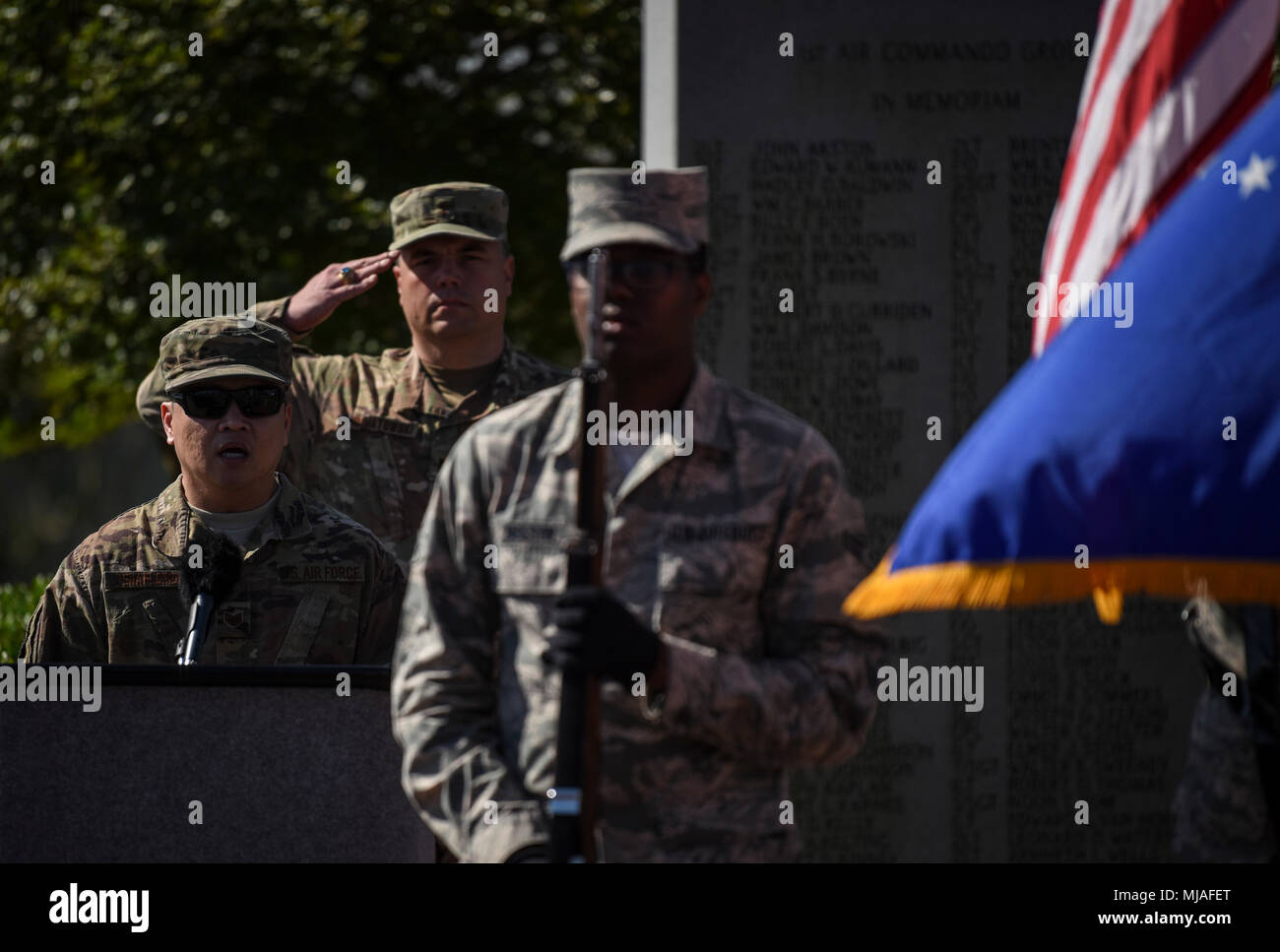 Clawl hi-res stock photography and images - Alamy