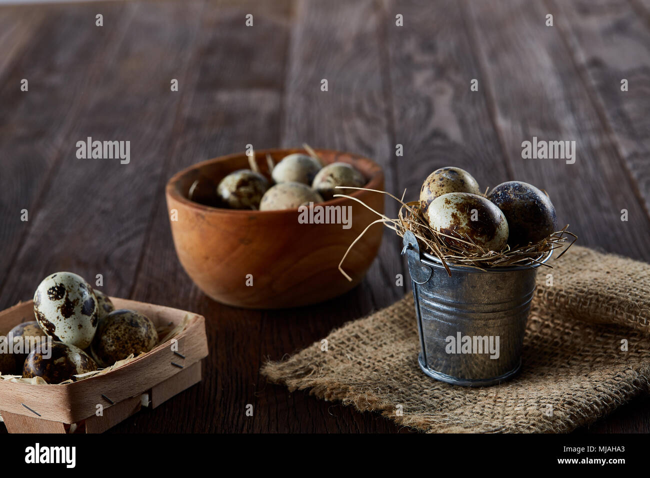 Rustic still life with fresh quail eggs in decorative metal bucket with ...