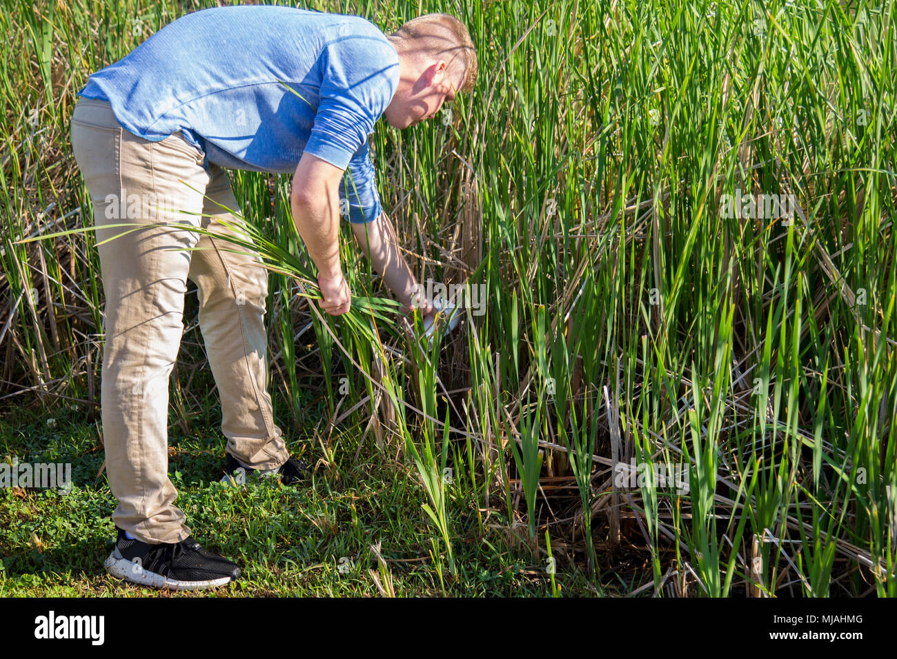Colton hanson hi-res stock photography and images - Alamy