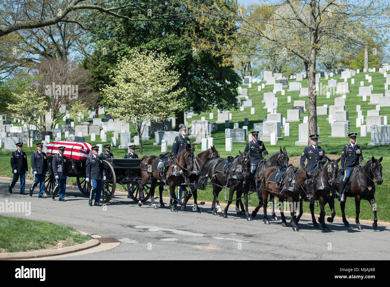 The 3d U.S. Infantry Regiment (The Old Guard) Caisson Platoon help ...