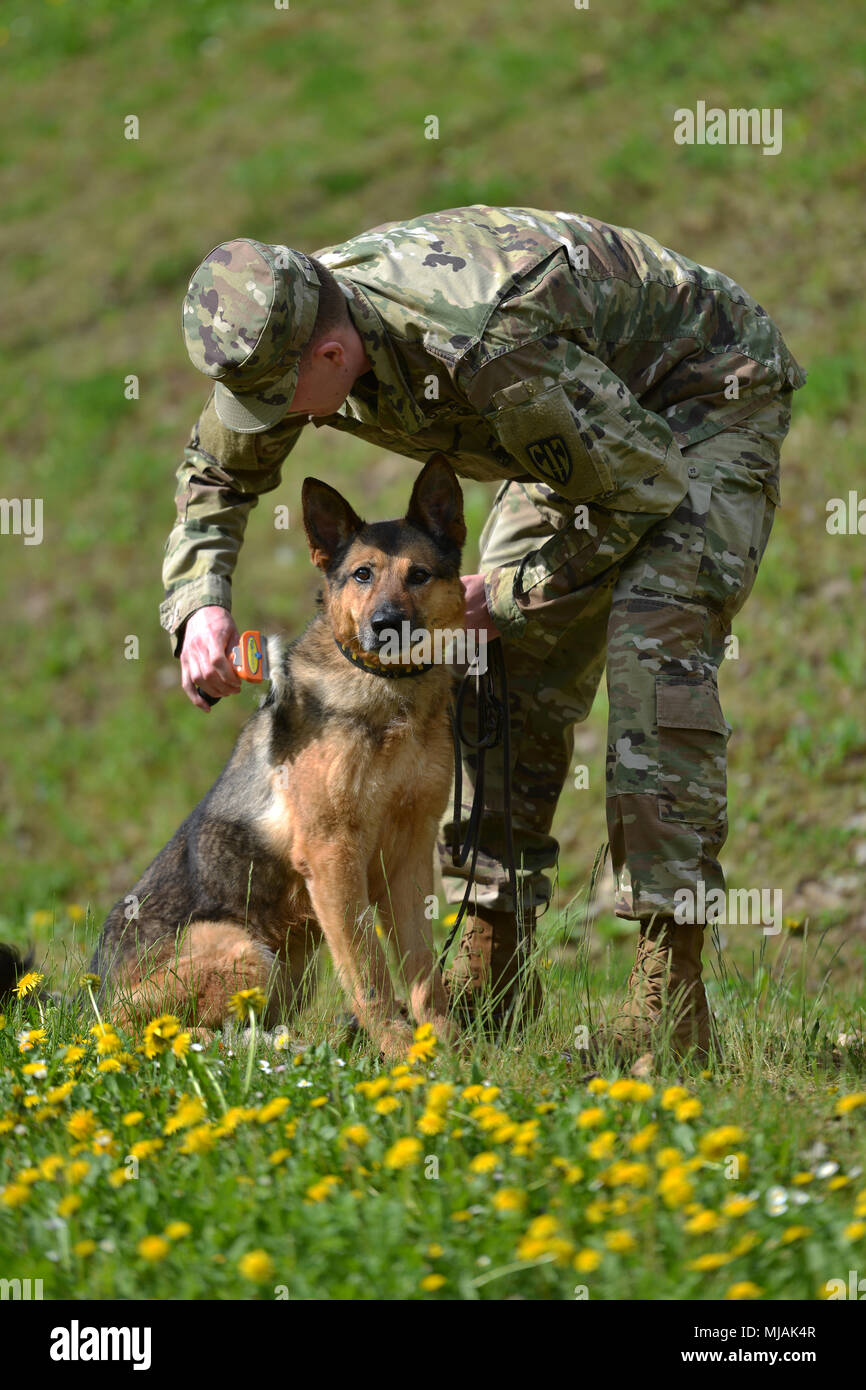 A U.S. Soldier assigned to the 100th Military Police Detachment, 18th ...