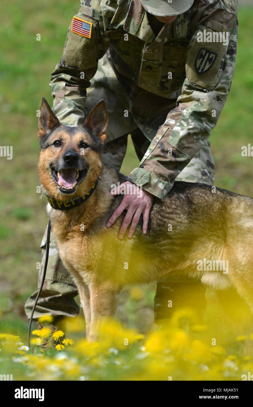 100th military police detachment hi-res stock photography and images ...