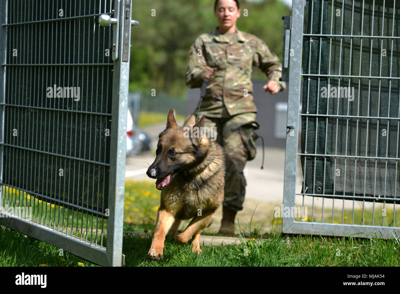A U.S. Soldier assigned to the 100th Military Police Detachment, 18th ...