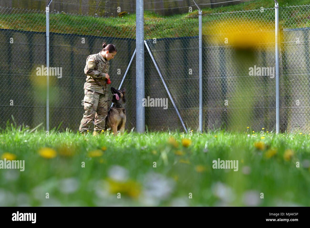 A U.S. Soldier assigned to the 100th Military Police Detachment, 18th ...