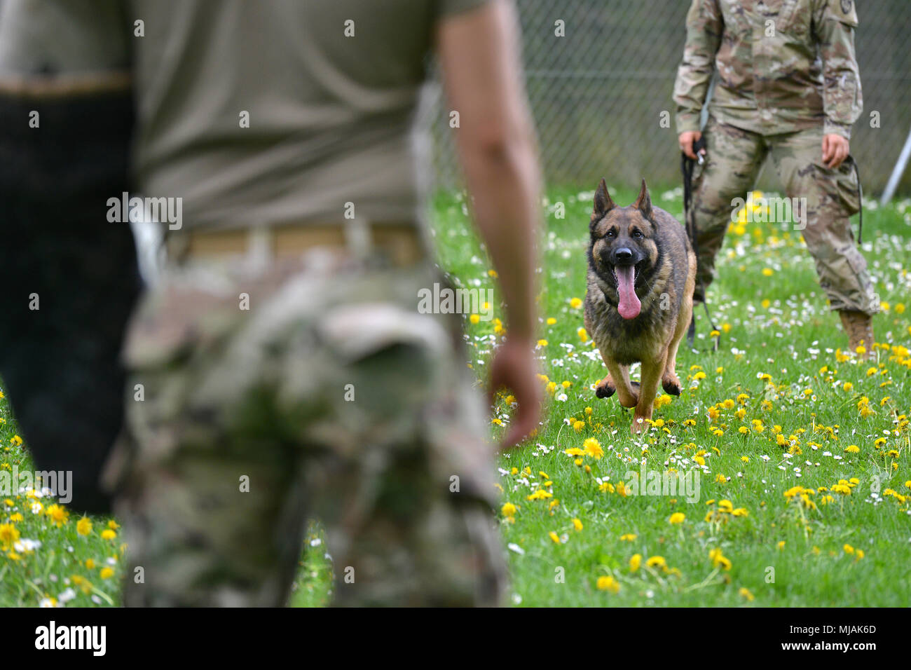 U.S. Soldiers assigned to the 100th Military Police Detachment, 18th MP ...