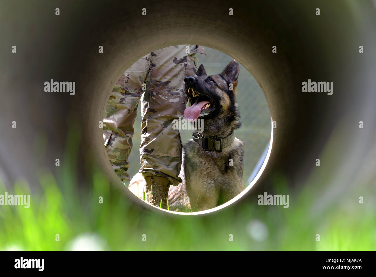A U.S. Soldier assigned to the 100th Military Police Detachment, 18th ...
