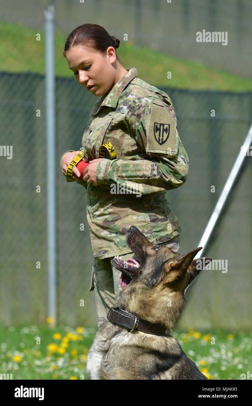 A U.S. Soldier assigned to the 100th Military Police Detachment, 18th ...