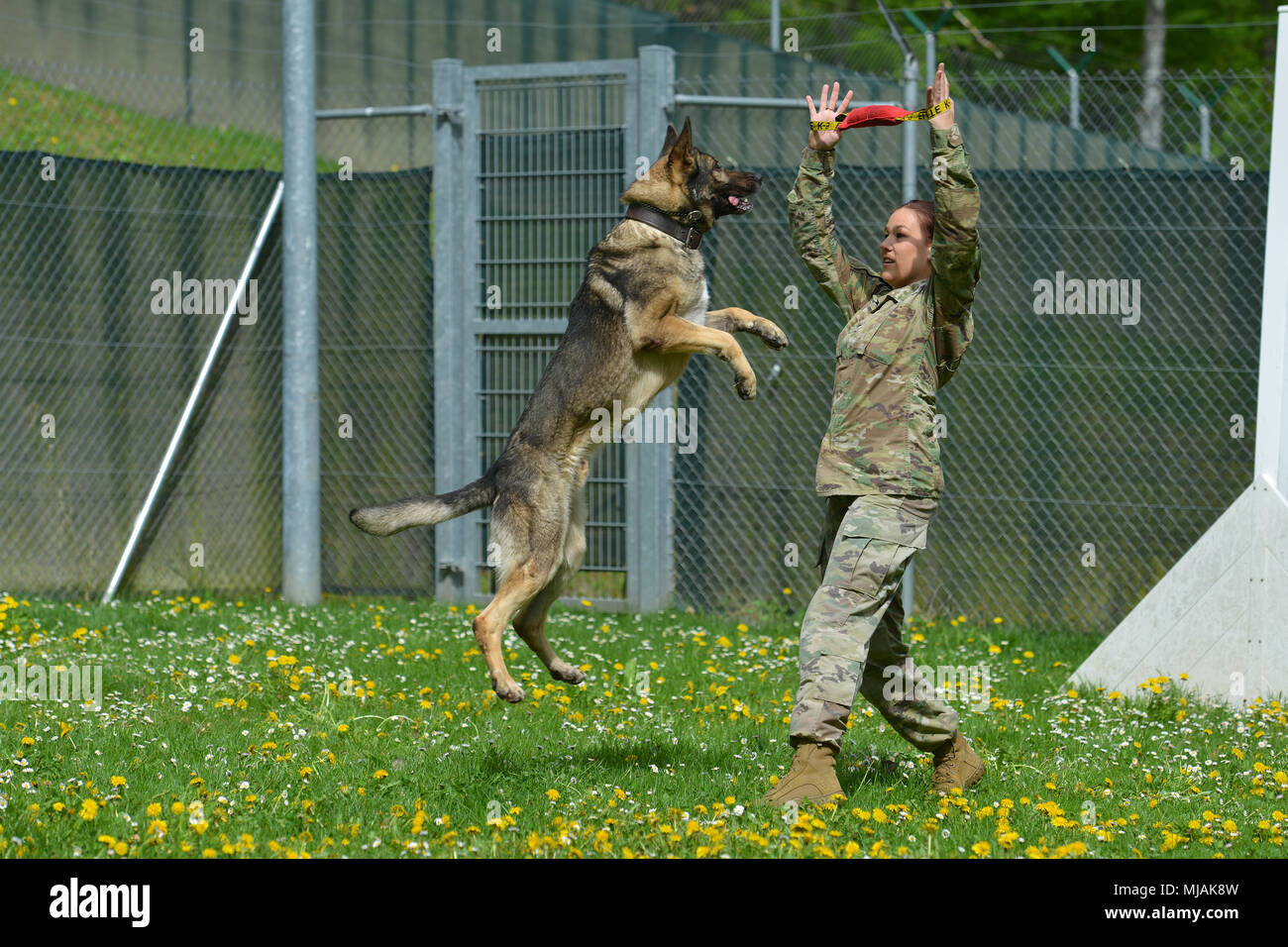 A U.S. Soldier assigned to the 100th Military Police Detachment, 18th ...