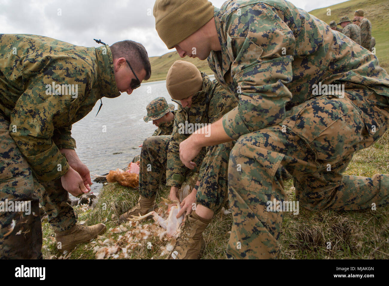 Royal marines reserve unit hi-res stock photography and images - Alamy