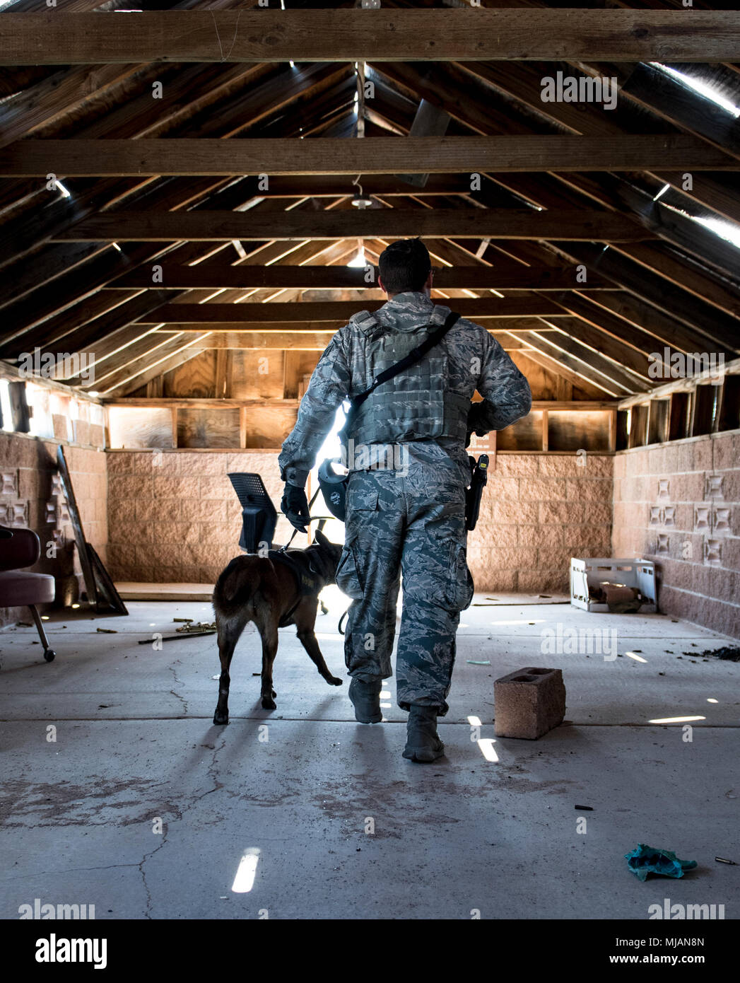 Staff Sgt. Ryne Wilson, 99th Security Forces Squadron military working ...