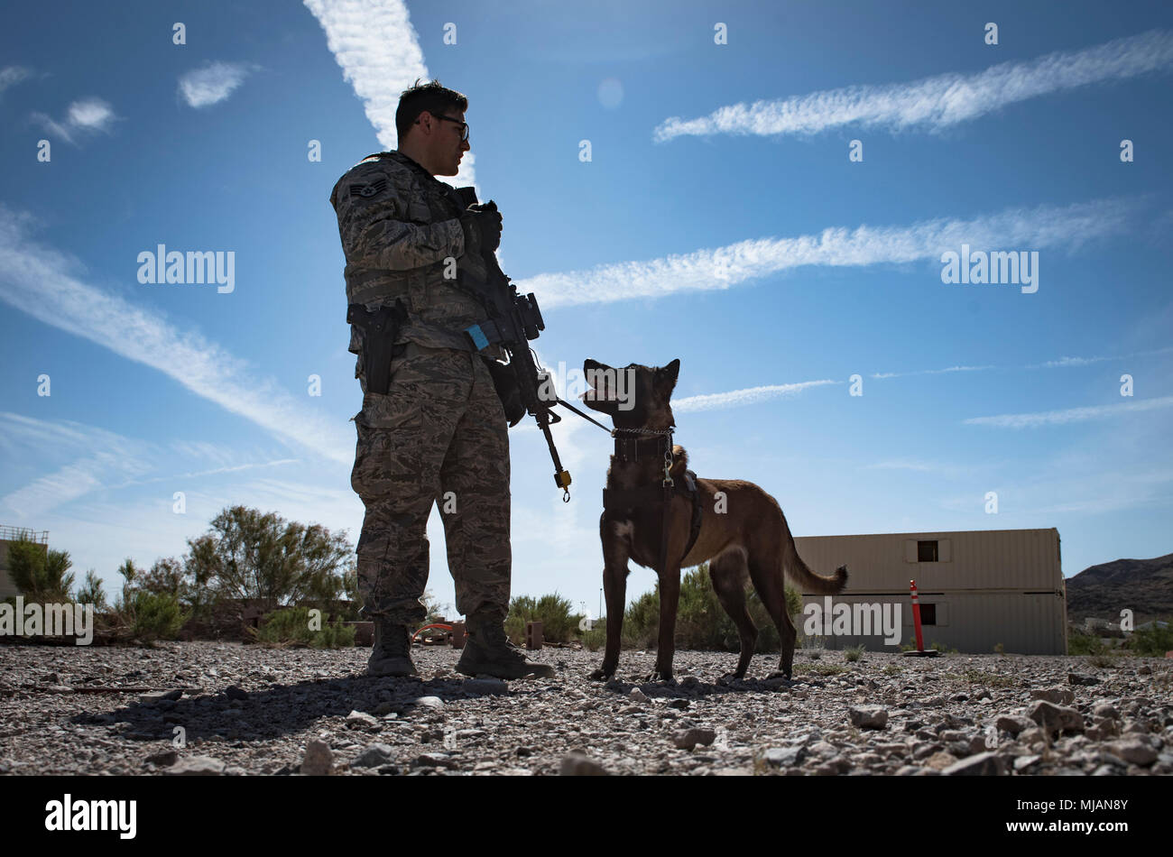 Staff Sgt. Ryne Wilson, 99th Security Forces Squadron military working ...