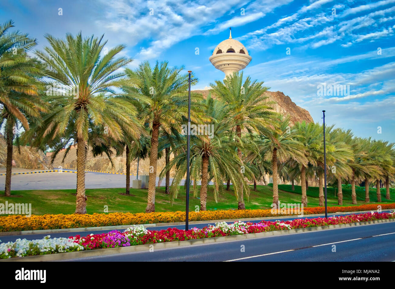 Date palm trees & flowers on the roadside garden, Muscat, Oman. The ...