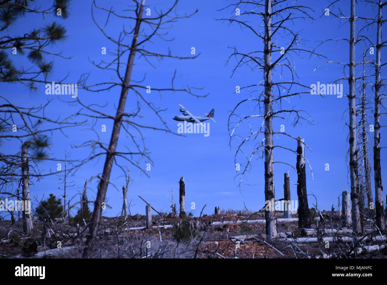 A MAFFS-equipped C-130 flies over the Tahoe National Forest to scout ...