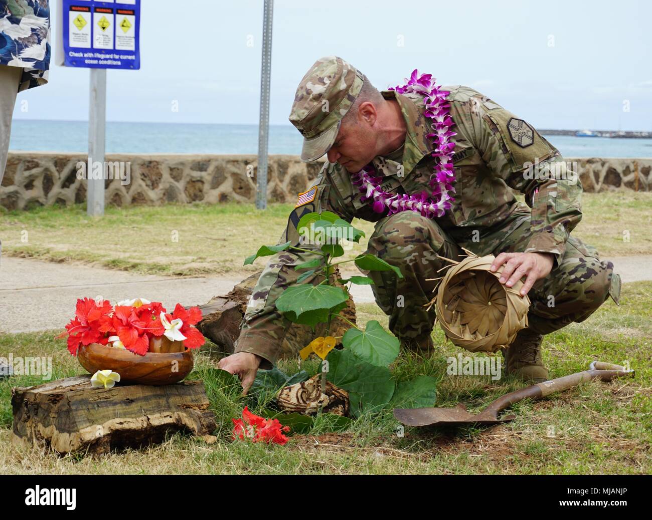 Col. Stephen Dawson participates in the ceremonial planting of the hau ...