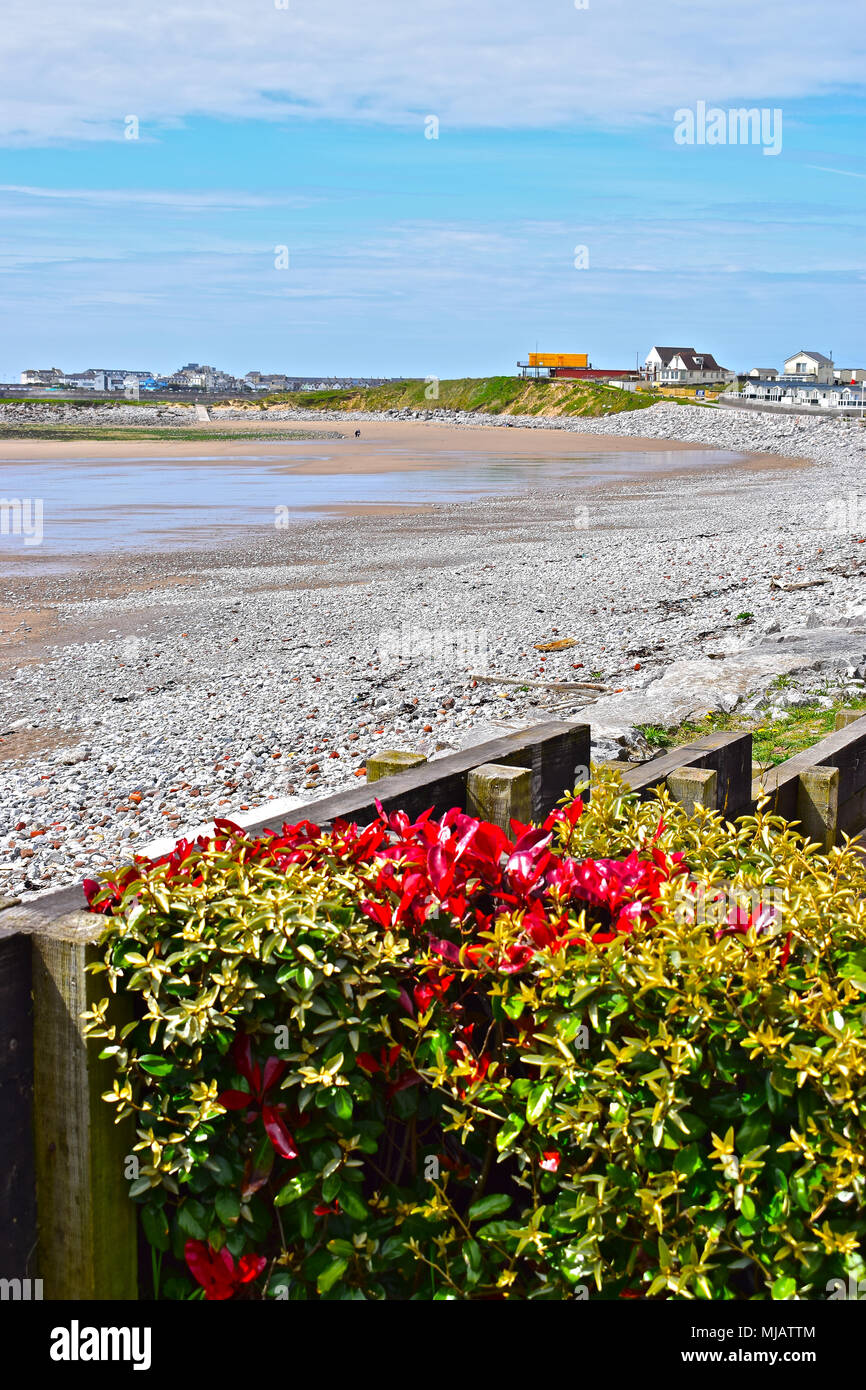 Trecco bay holiday park hi-res stock photography and images - Alamy
