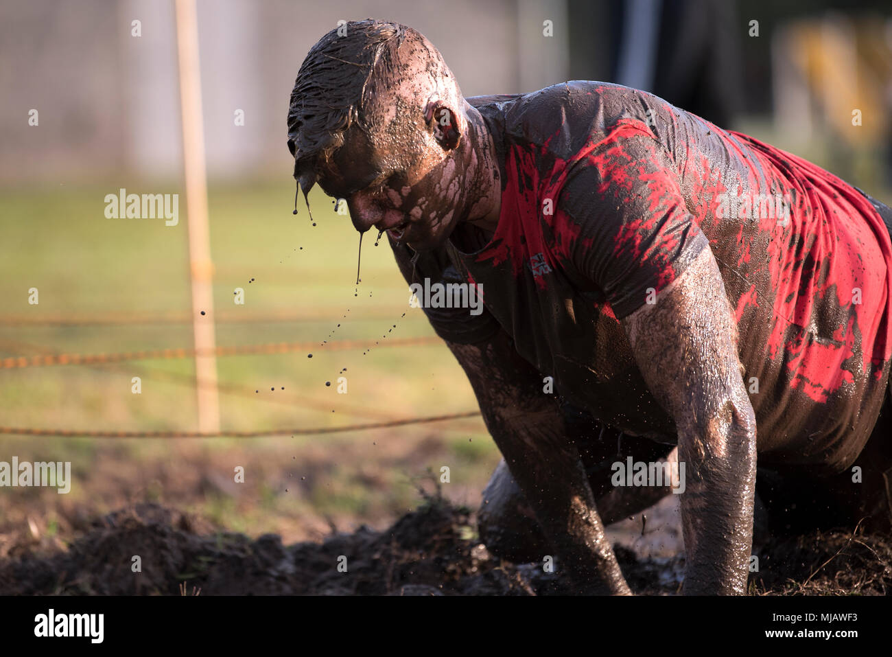 Gladiator assault challenge hi-res stock photography and images - Alamy