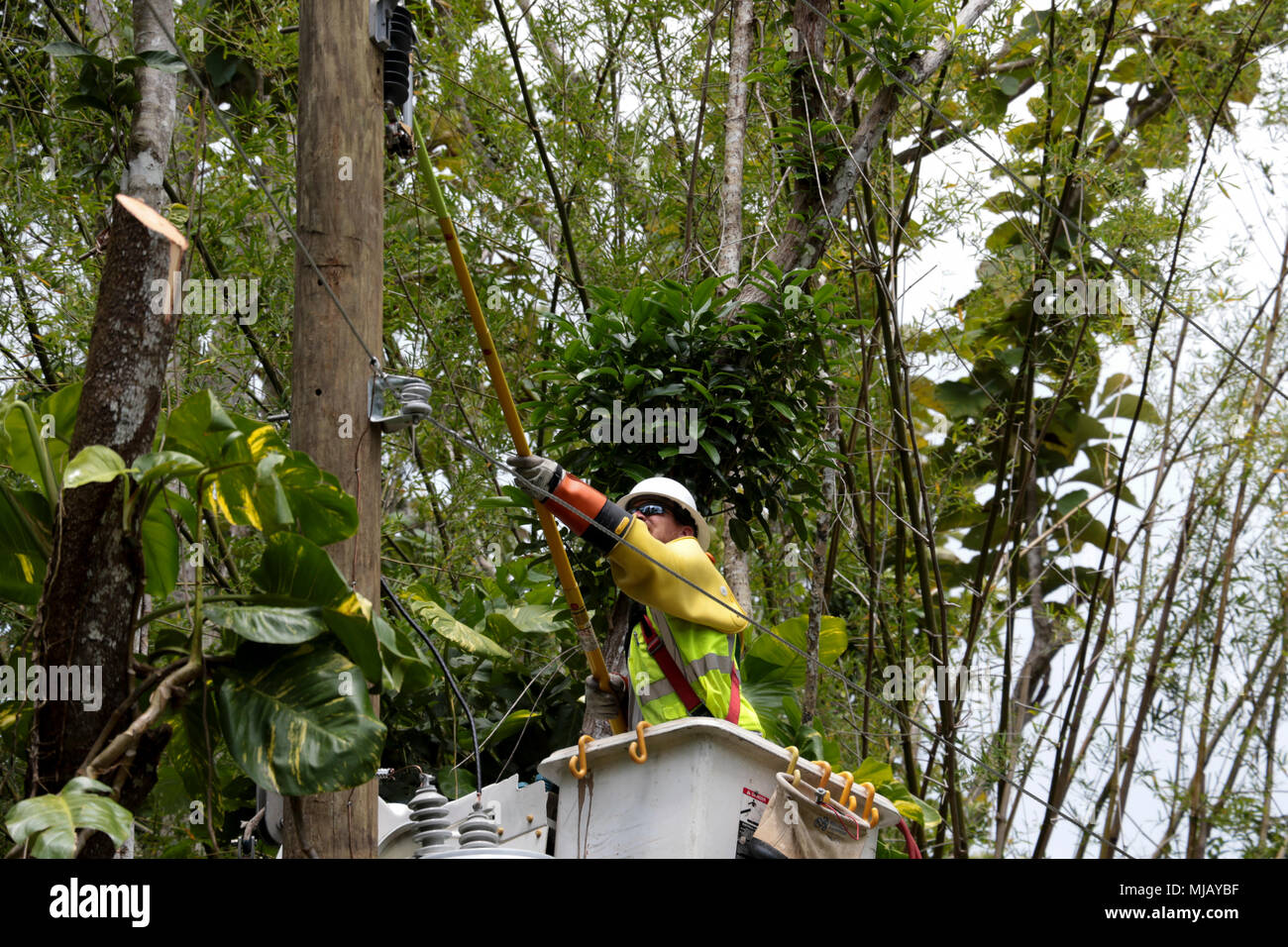 Task force power restoration hi-res stock photography and images - Alamy