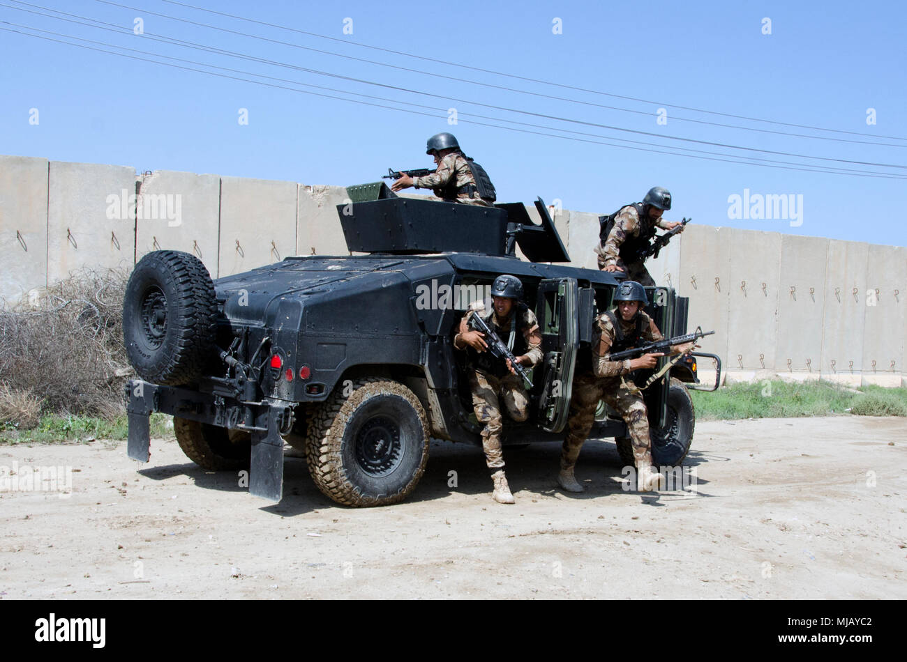 Iraqi Cts High Resolution Stock Photography and Images - Alamy