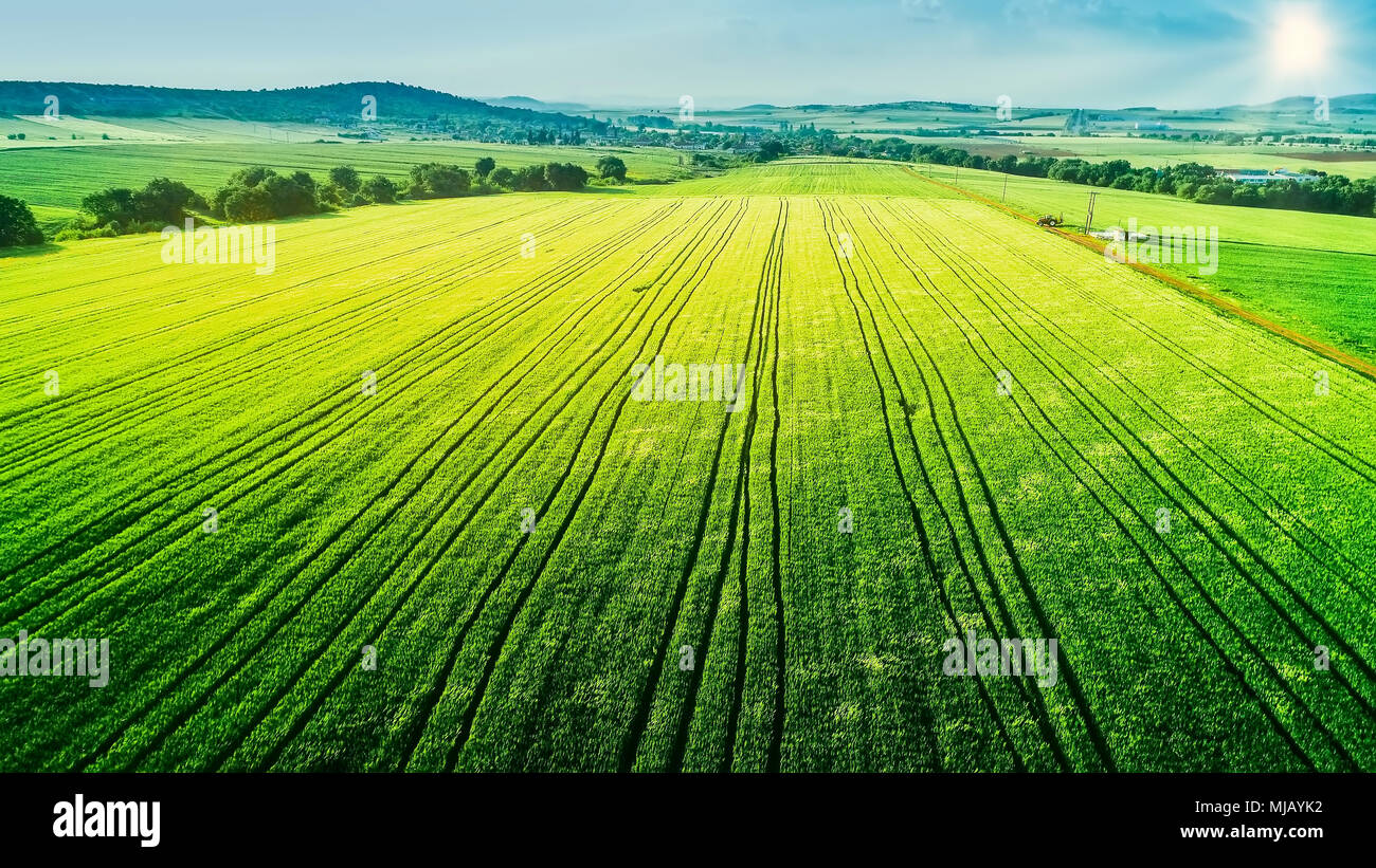 Aerial view young green fields hi-res stock photography and images - Alamy