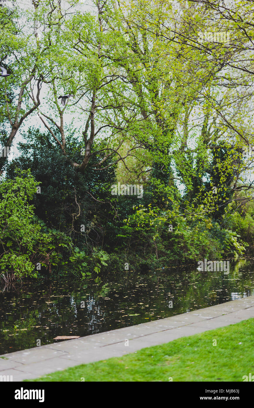 detail of city park with early spring vegetation, soft light and ...