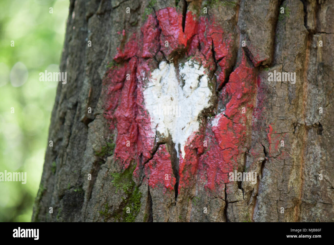 State forest code Stock Photo - Alamy