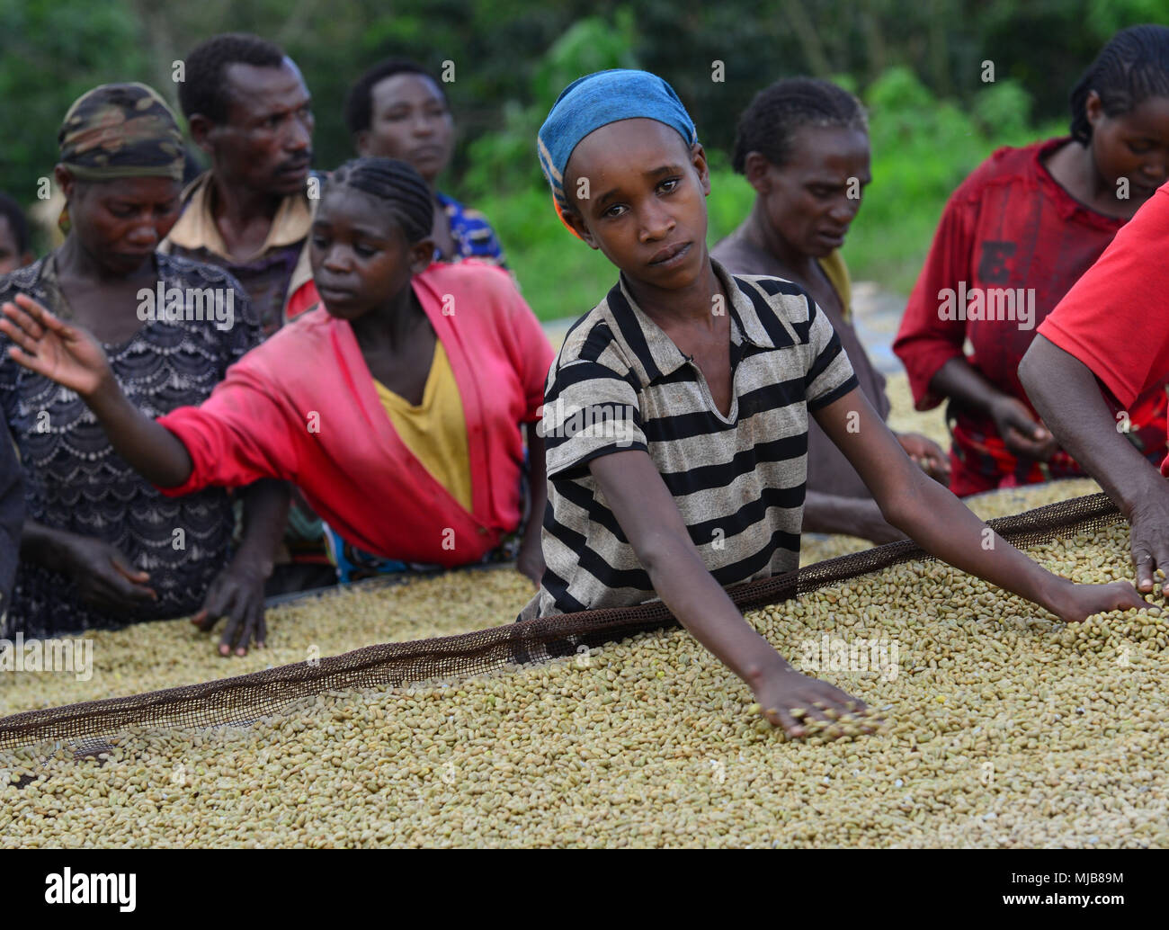 Sorting and processing hi-res stock photography and images - Alamy