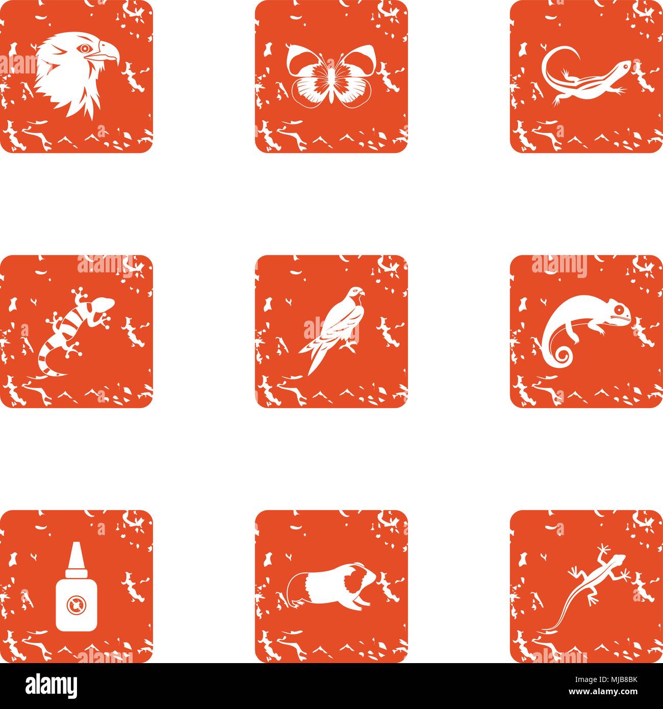 Animal classification Stock Vector Images - Alamy