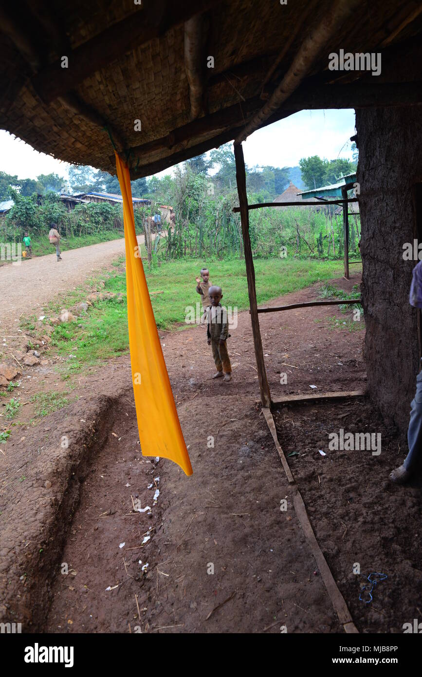 A tej (honey wine) trading hut, near Yirgacheffe town, Ethiopia. Tej ...