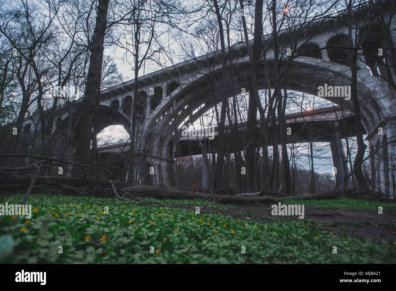Rocky River Reservation Metroparks Stock Photo - Alamy