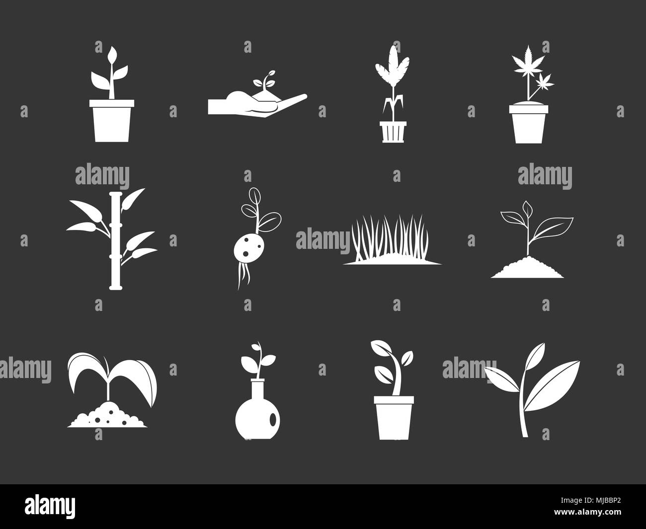 Plant icon set grey vector Stock Vector Image & Art - Alamy