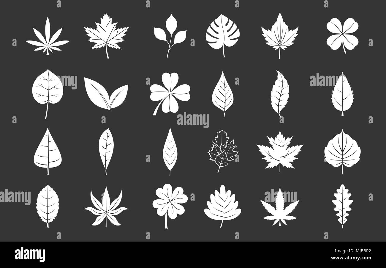 Leaf icon set grey vector Stock Vector Image & Art - Alamy