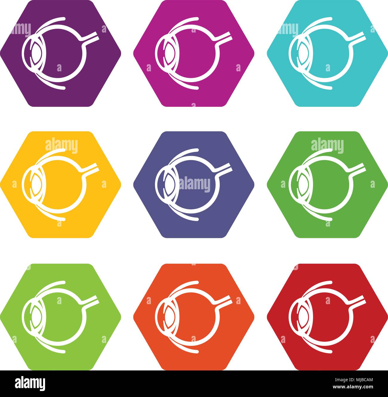 Anatomy of eye icons set 9 vector Stock Vector Image & Art - Alamy