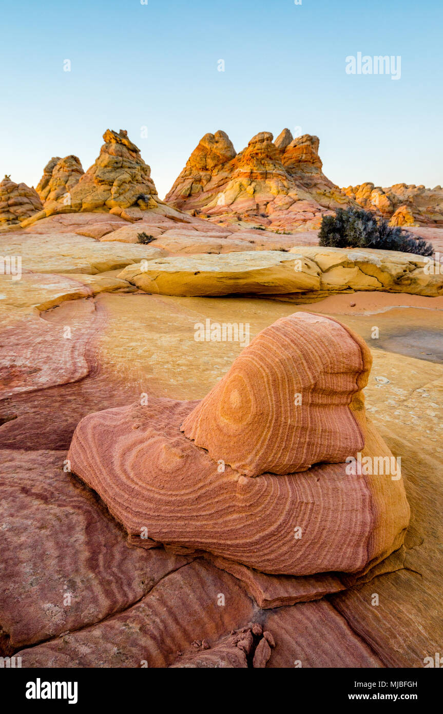Sandstone rock with purple and gold colors on sandstone with similar ...