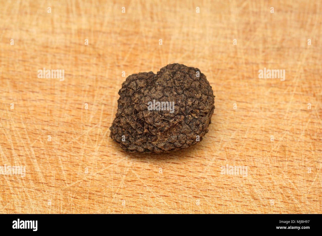 One Black Truffle Edible Mushroom Food Stock Photo - Alamy