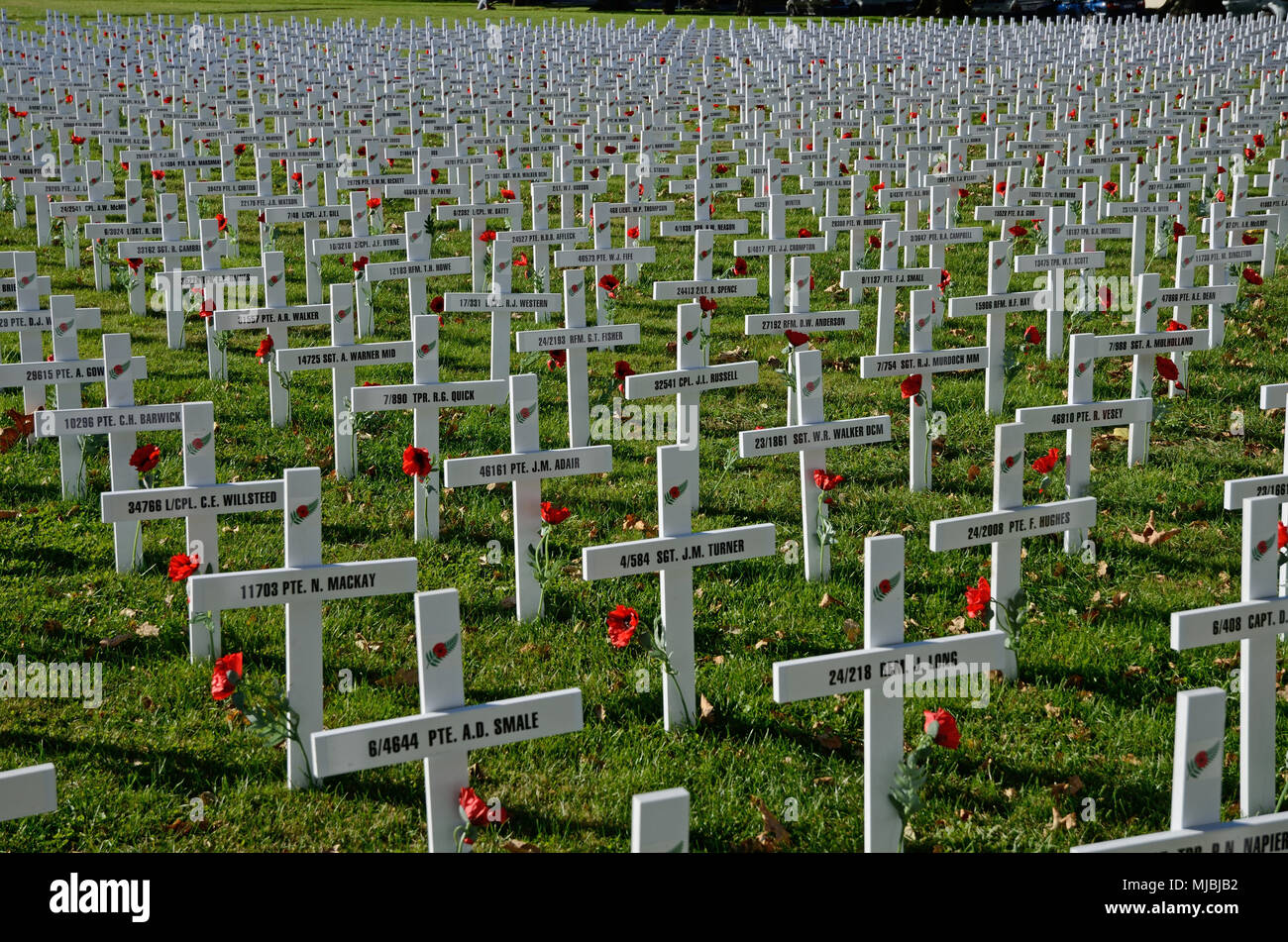 Anzac Crosses High Resolution Stock Photography and Images - Alamy