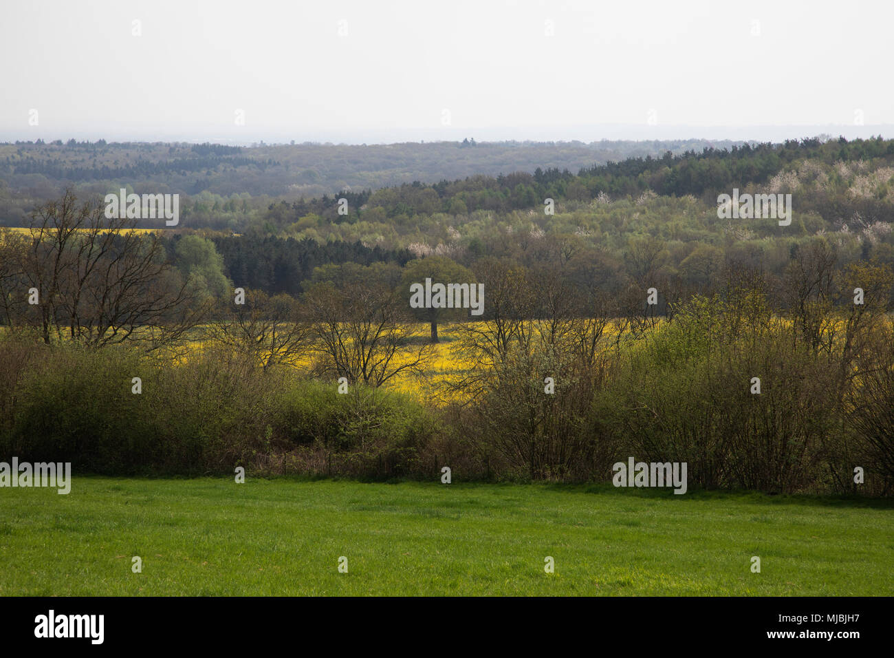 Landscape view of countryside in Kent at Underriver, England, United ...