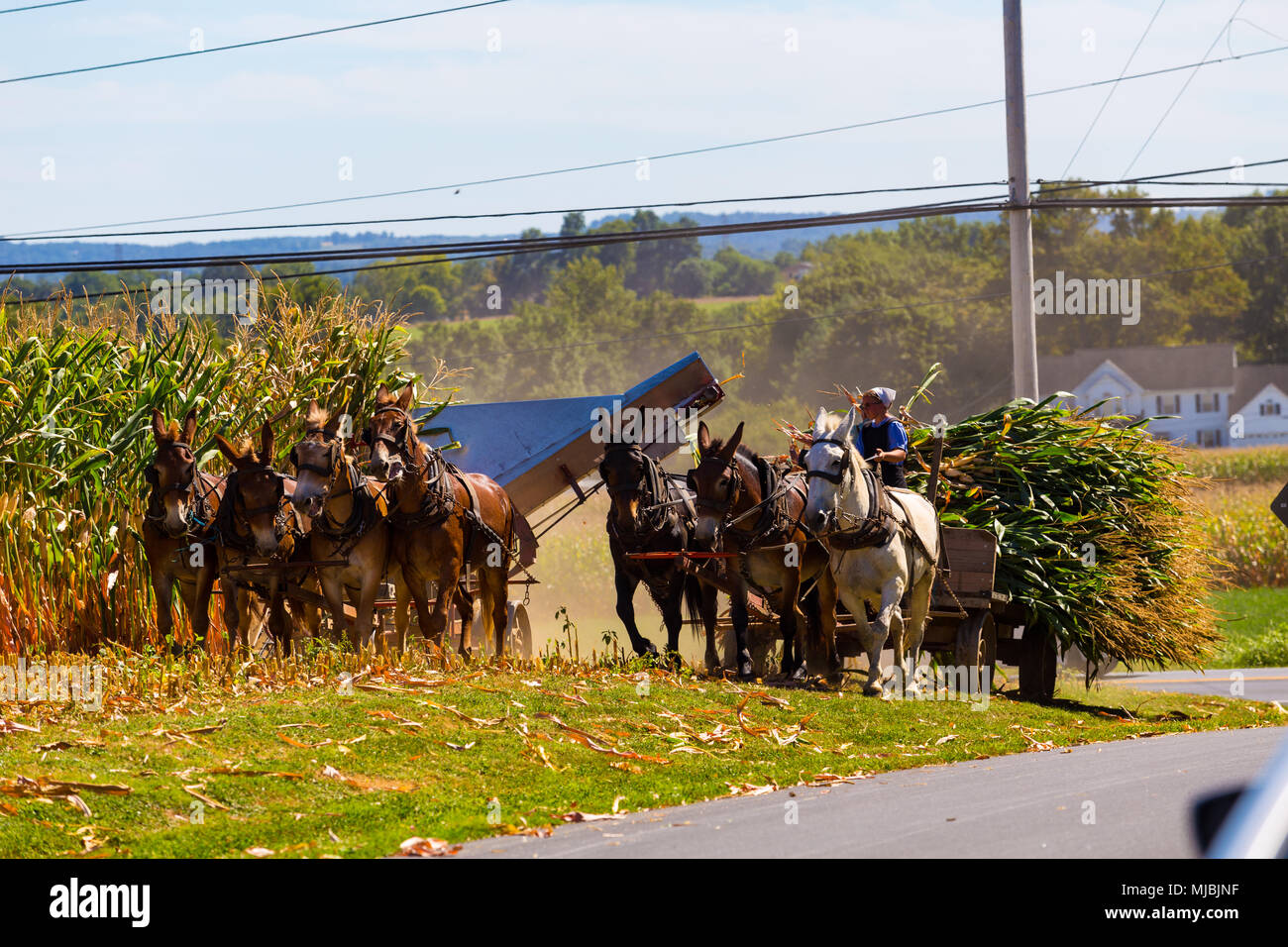 Witmer hi-res stock photography and images - Alamy