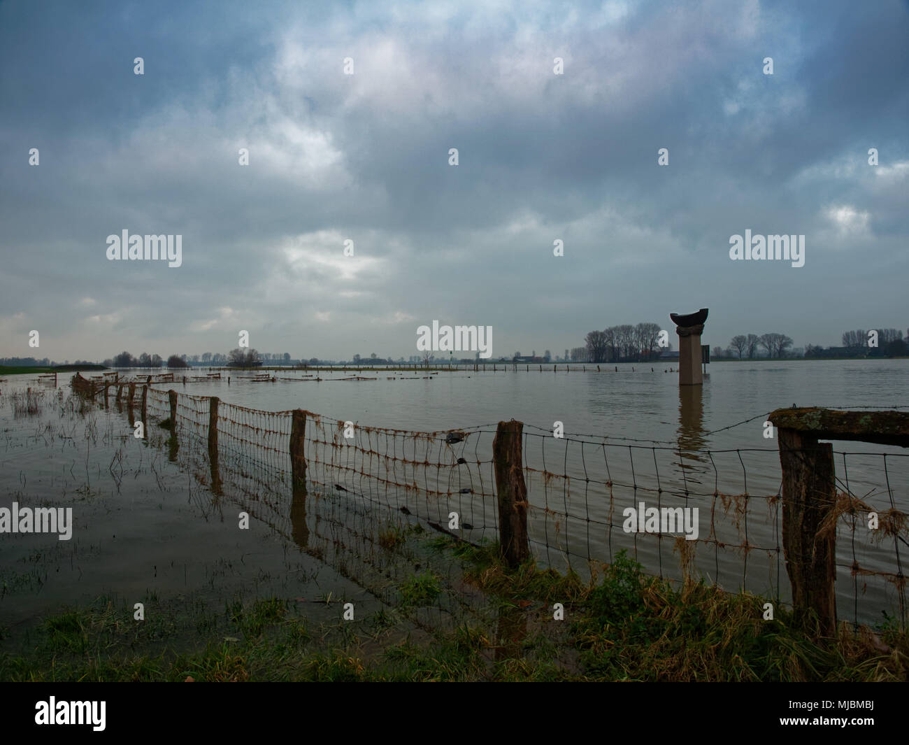 flood on the rhine, Kalkar, Grieth, Germany Stock Photo - Alamy