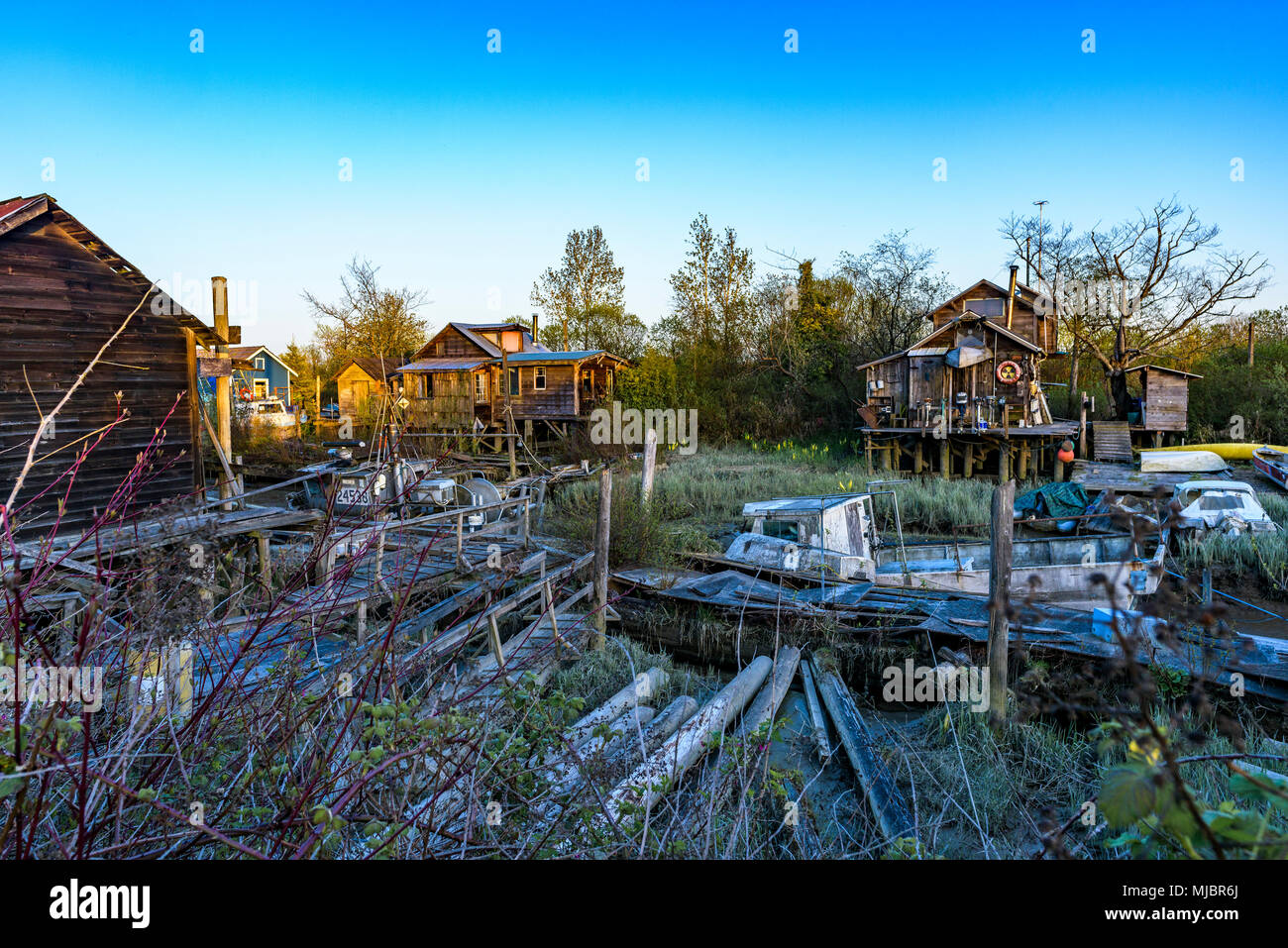 Tidal slough hi-res stock photography and images - Alamy