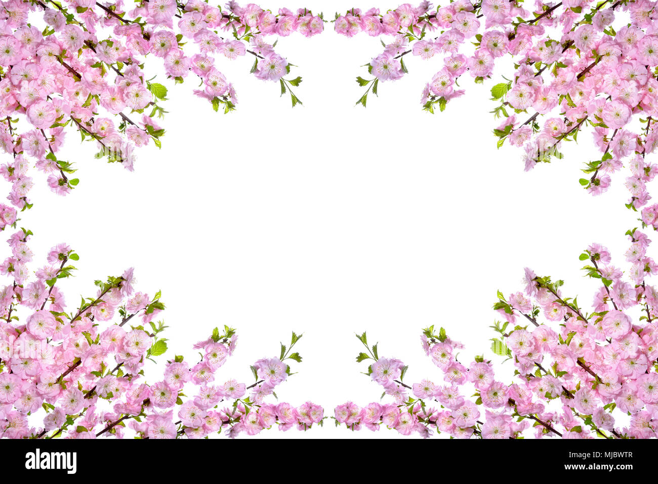Almond wallpaper hi-res stock photography and images - Alamy