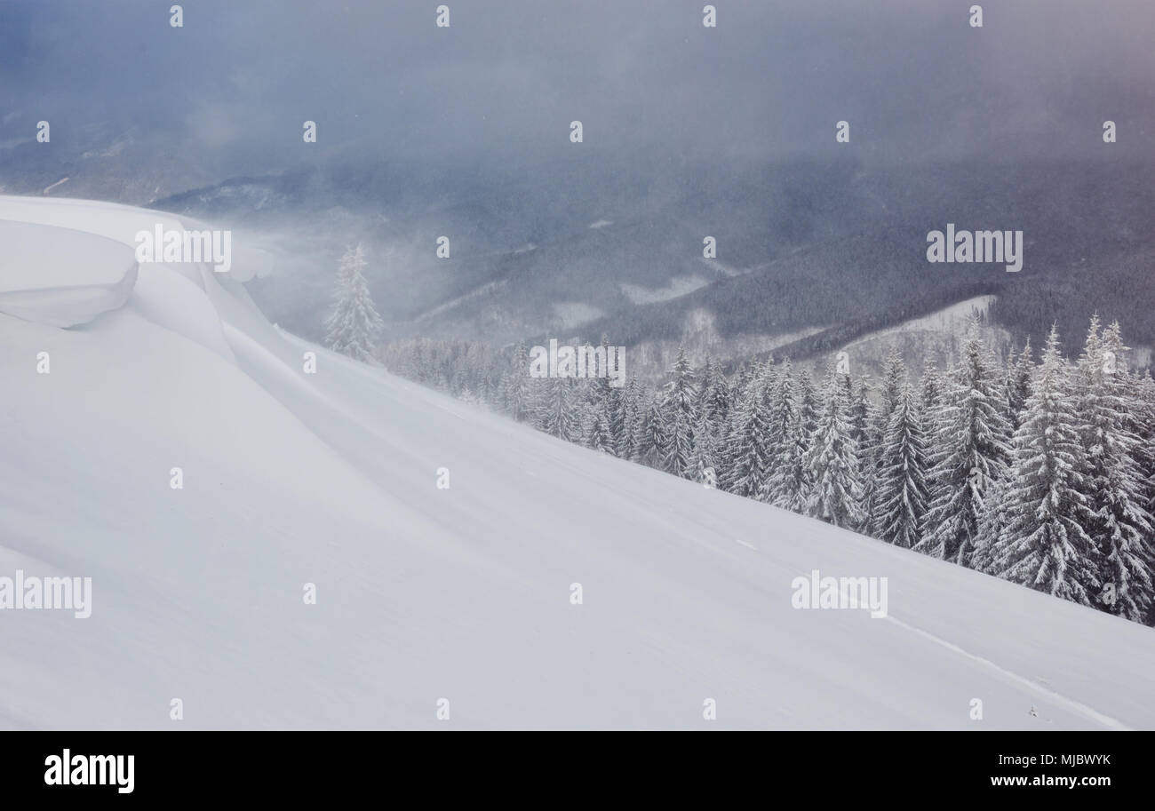 Beautiful winter landscape with snow covered trees and snow cornice ...