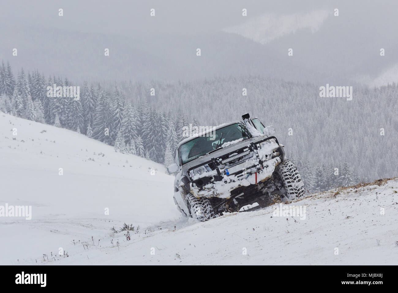 Car rides on mountain forest hi-res stock photography and images - Alamy