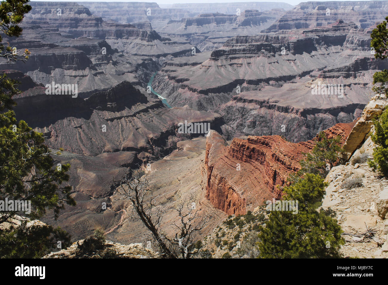 Grand Canyon South Rim overlook view Stock Photo - Alamy