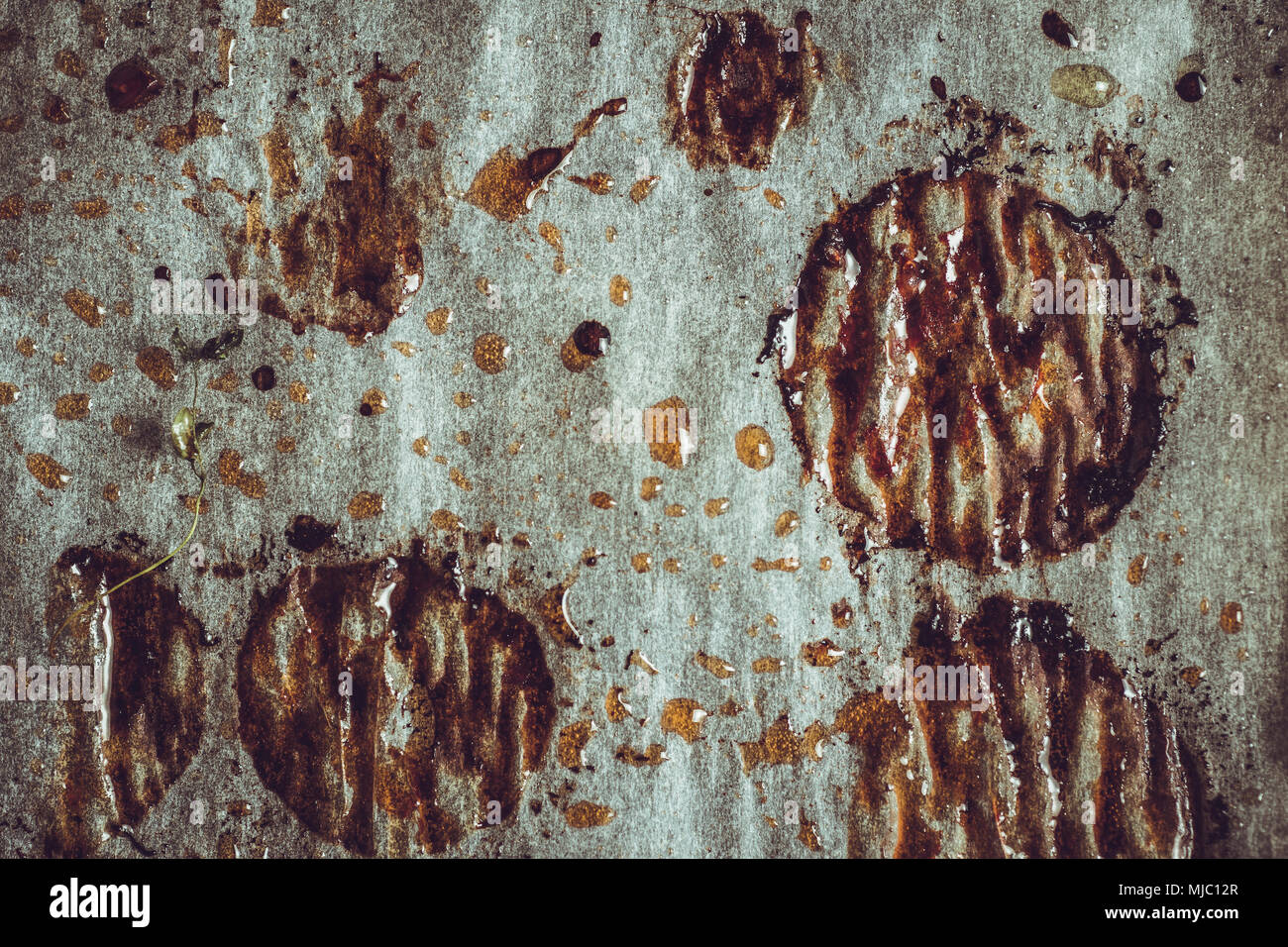 Wet parchment hi-res stock photography and images - Alamy