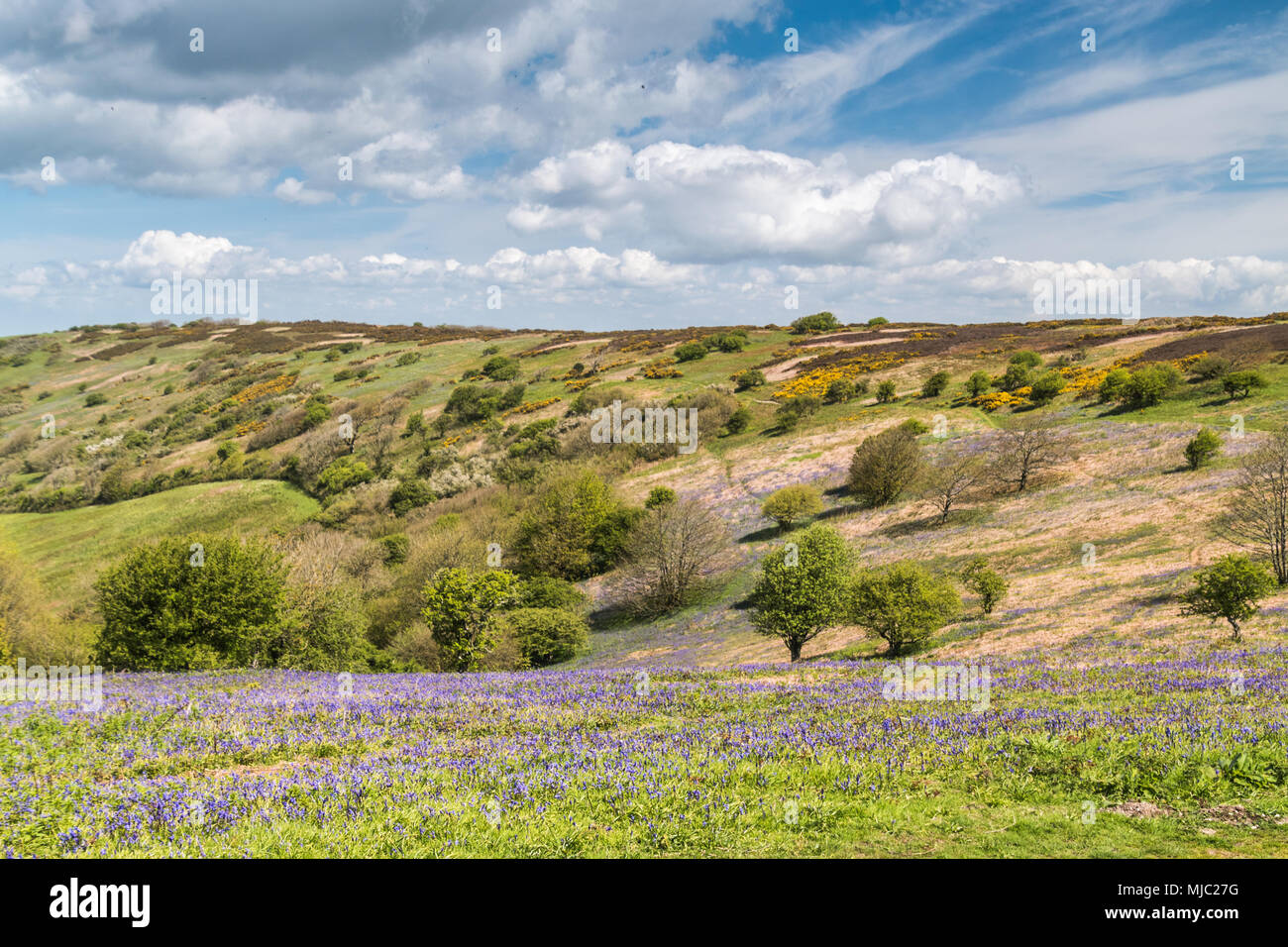 Hills and field hi-res stock photography and images - Alamy